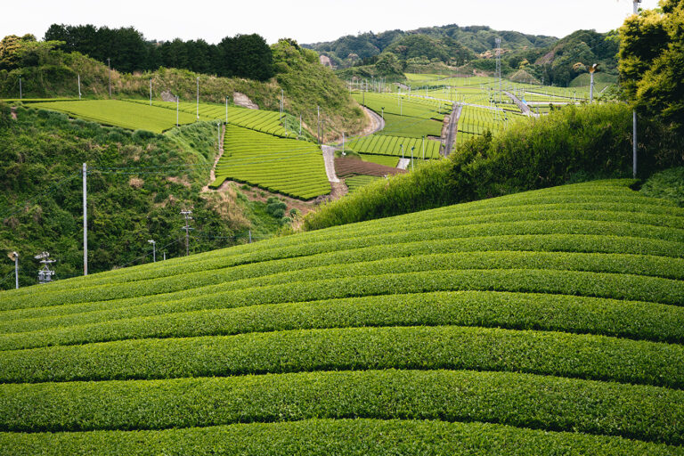 きみくら株式会社 専務取締役 山崎真広氏 - Achieve Career